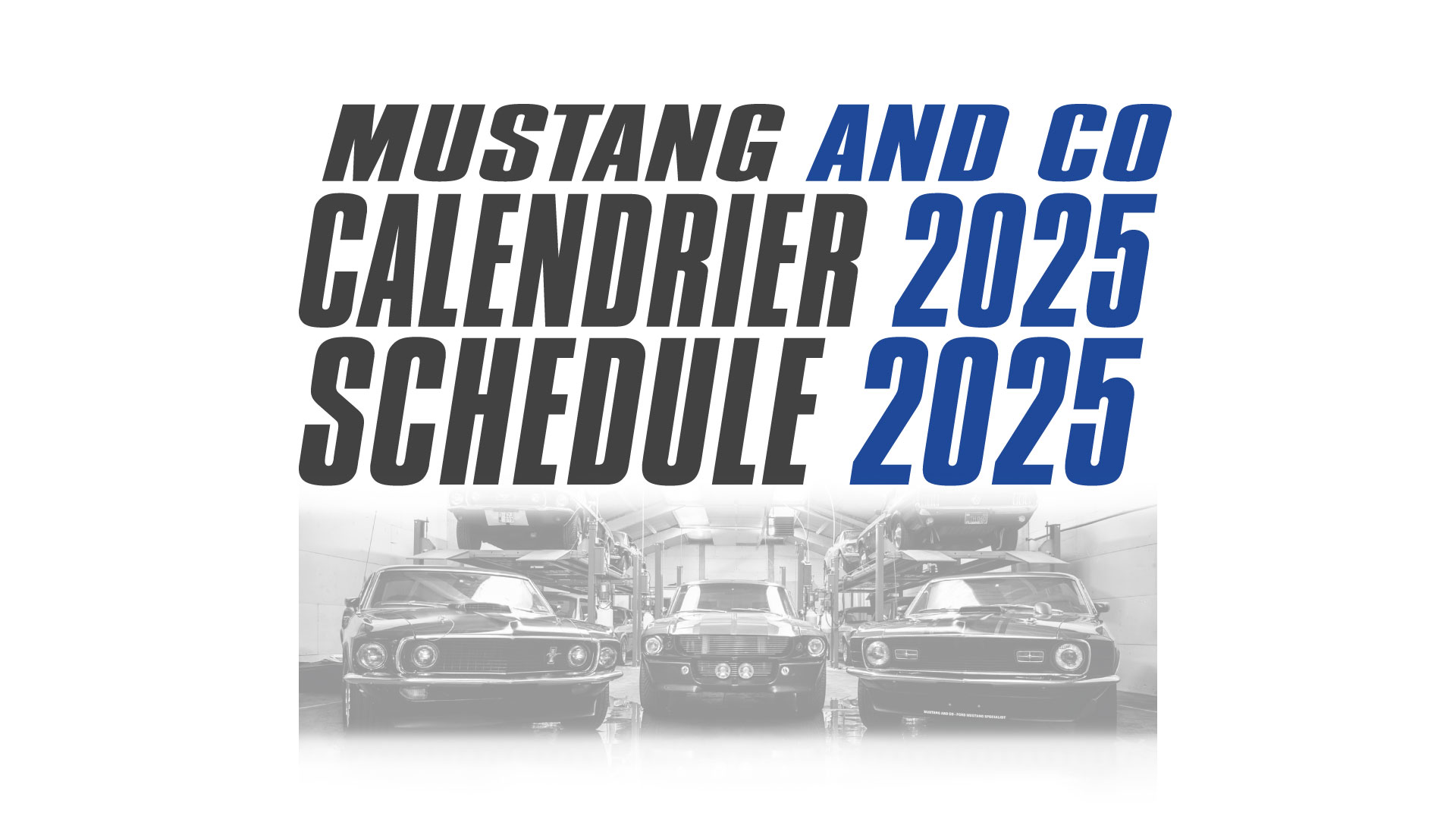 Mustang & Co - SCHEDULE 2025